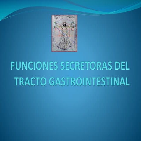 Esfinter Esofagico Inferior Anatomia Humana | PDF
