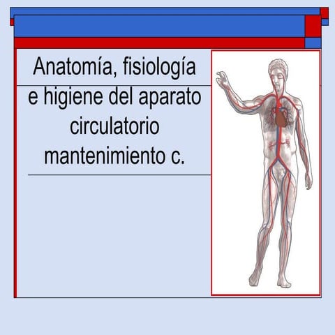 anatomia_sistema_aparato_circulatorio.ppt