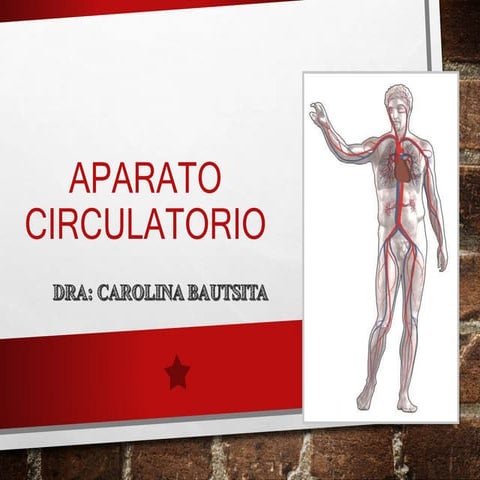 aparato circulatorio | PPT
