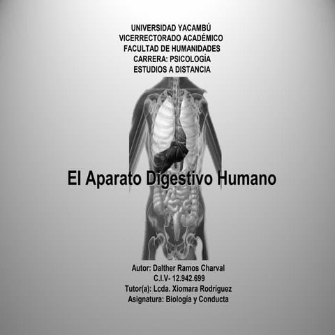 Aparato Digestivo de Ser Humano | PPT