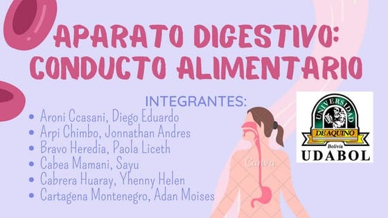 Heidy572163 presentations