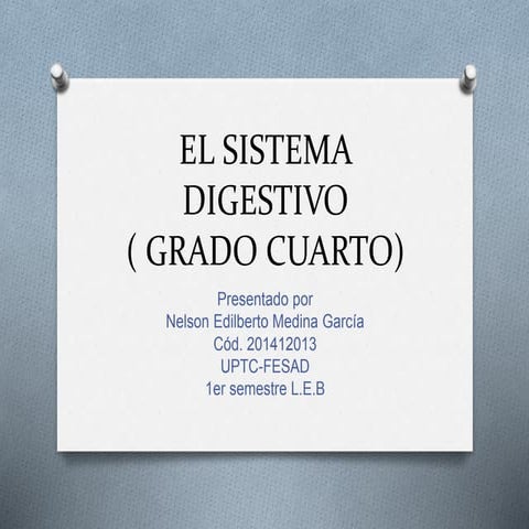 Sistema Digestivo Del Ser Humano | PPTX
