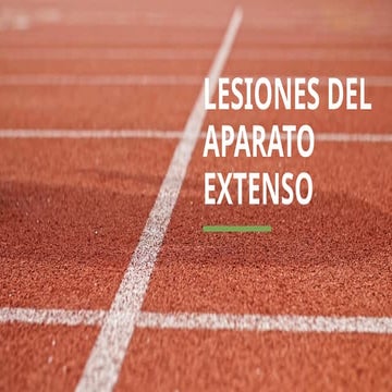 Lesiones de rodilla presentacion .pptx