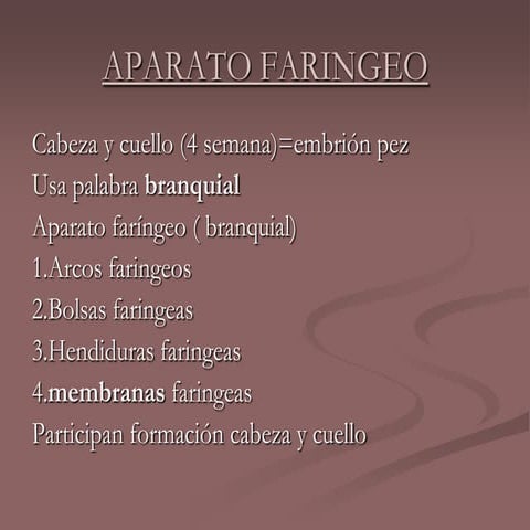 musculos de la lengua.pdf