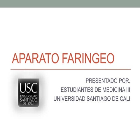 Arcos, Hendiduras Y Bolsas FaríNgeas | PPT
