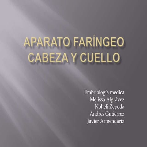 Arcos, Hendiduras Y Bolsas FaríNgeas | PPT