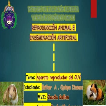 APARATO REPRODUCTOR DEL MACHO - VETERINARIA | PPTX