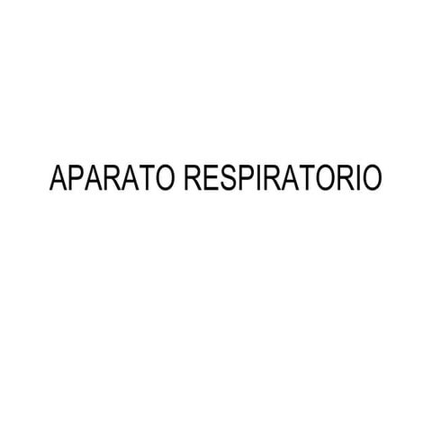 As plantas: o talo | PDF