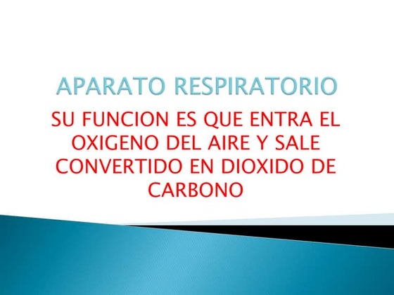 Dina Real, Personal docente en fundacion edifica at Fundacion edifica