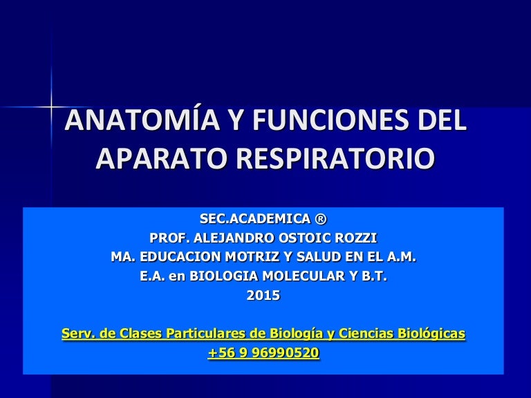 Aparato Respiratorio Anatoma Y Fisiologa Neumologa