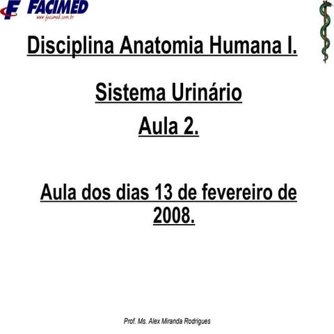 Aparelho UrináRio Aula2 | PPT