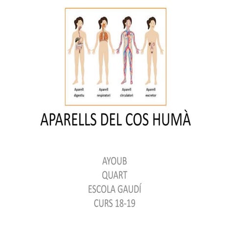 Aparell del cos Humá | PPTX