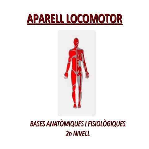 Aparell Locomotor | ODP
