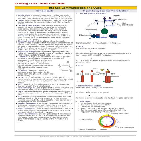 cell_communication cheat sheet | PDF