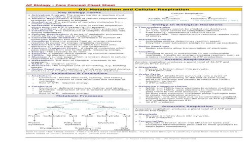 Acid Base Balance Cheat Sheet