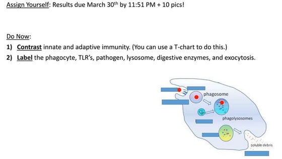Digestive system | PPT