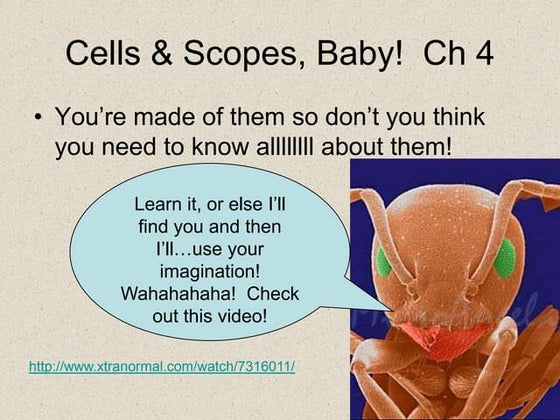 Cell Structure & Function | Cambridge IGCSE Biology | PDF