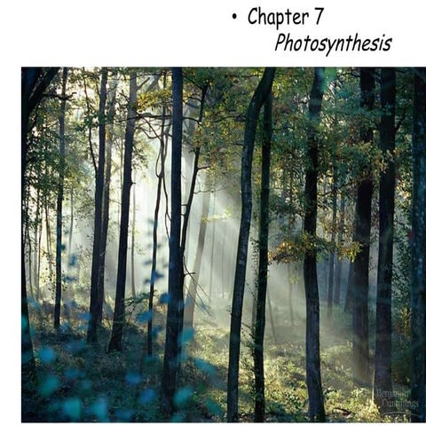 AP Bio Ch 7 Photosynthesis PPT | PPTX