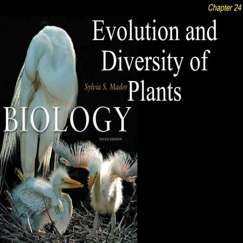 Ap bio lecture ch24 evolution and diversity of life | PPT