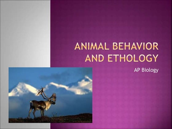 animal behaviours and its types with examples | PPTX