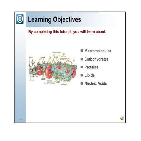 Ap biology ch. 3 | PPTX | Biological Sciences | Science