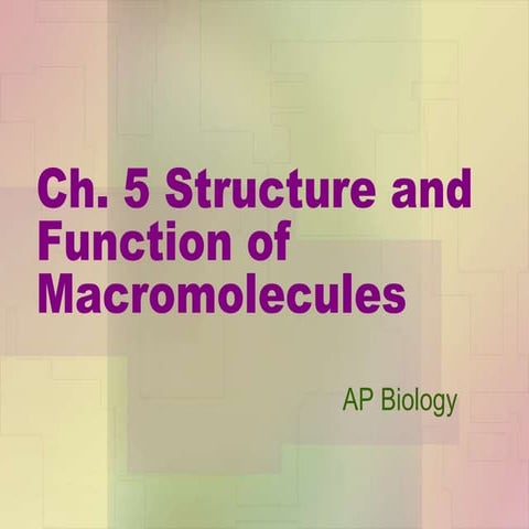AP BIO MACROMOLECULES Chapter 5 review.ppt