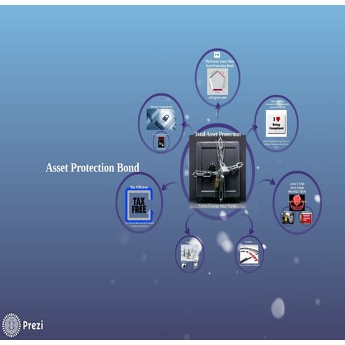 7 Essentials For Total Asset Protection | PDF