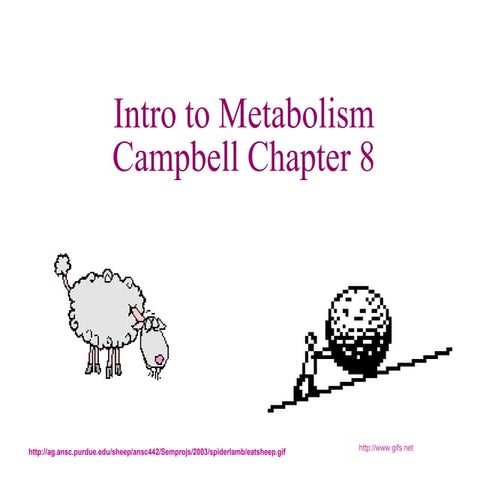 A pc8metabolism ppt | PPT