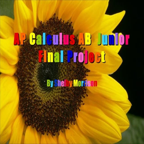 Ap Calculus Ab Junior Final Project | PPT