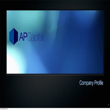 AP Capital Company Profile | PDF
