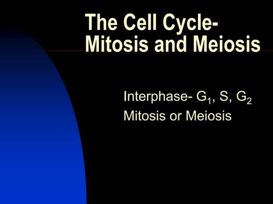 Cell division | PPT