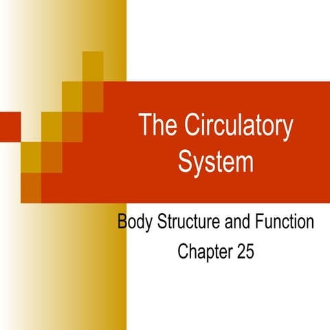 A&P Chapter 25 The Circulatory System | PPT | Heart and Cardiovascular ...