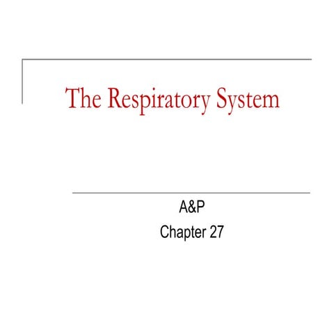 A&P Chapter 27 The Respiratory System | PPT