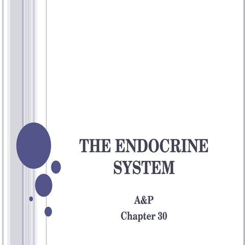 A&P Chapter 31 Endocrine System | PPT