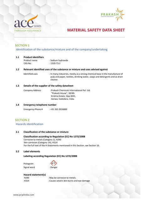 CIP 100 MSDS EN.pdf