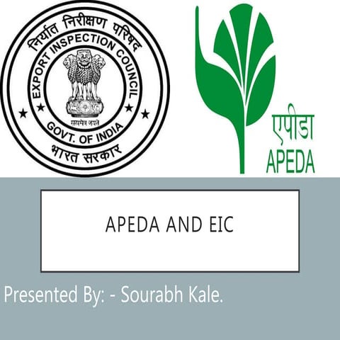 Apeda Logo How To Export Agro Based Products From India? APEDA