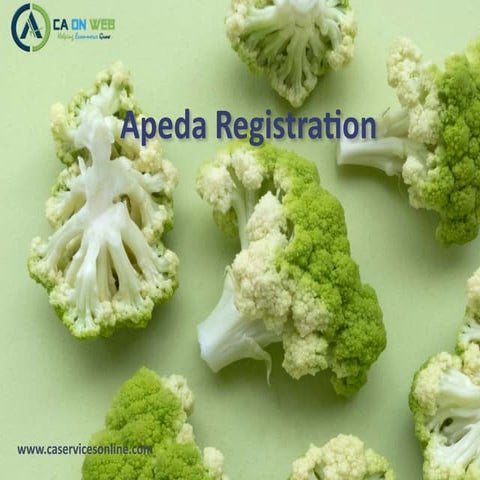 A complete guide for APEDA Registration.pdf