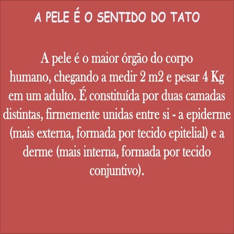 A pele é o sentido do tato | PPTX