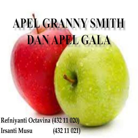 Apel granny smith dan apel gala | PPTX
