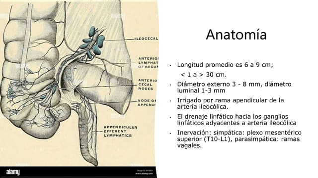 Puntos dolorosos apendicitis | PPTX