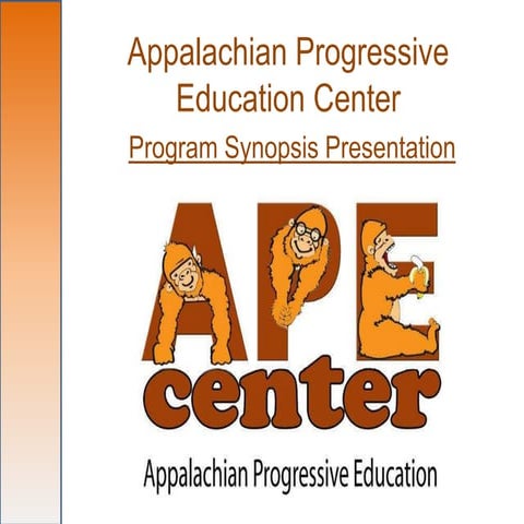 APE Center Program Synopsis | PPT