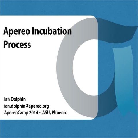 Apereo Incubation Process Overview | PDF