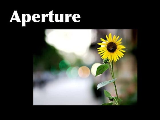 High School Photography Lesson, Rule of thirds | PDF