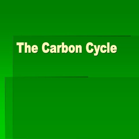 carbon cycle | PPT