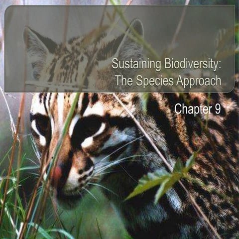 apes_chapter_9_sustaining_biodiversity.pptx