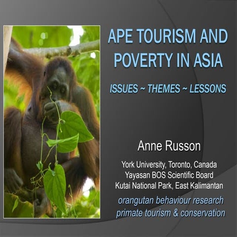 Ape tourism and poverty in Asia: issues, themes, lessons | PPTX ...
