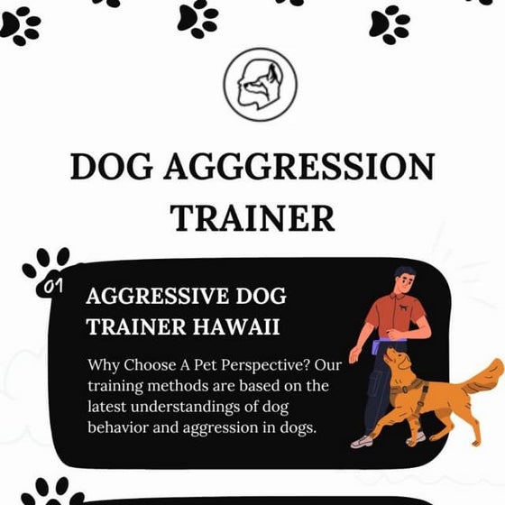 Dog Aggression Trainer ! A Pet Perspective | PPT