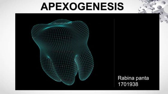 Apexogenesis & apexification | PPTX | Dental Health | Diseases and ...
