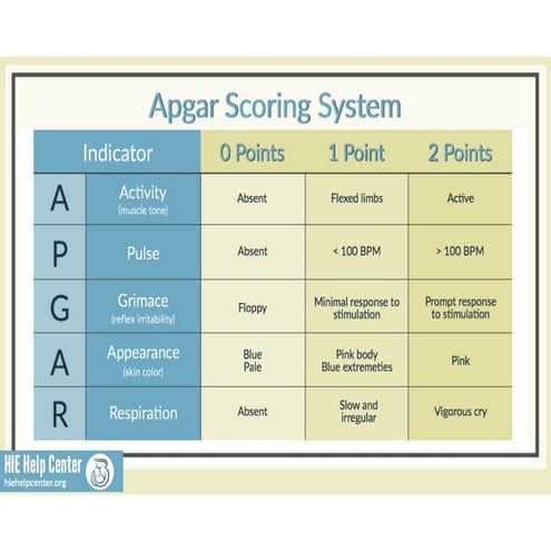 Apgar Score - Diagnosing Hypoxic-Ischemic Encephalopathy (HIE) | PDF