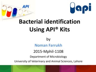Biochemical test of bacteria | PPT